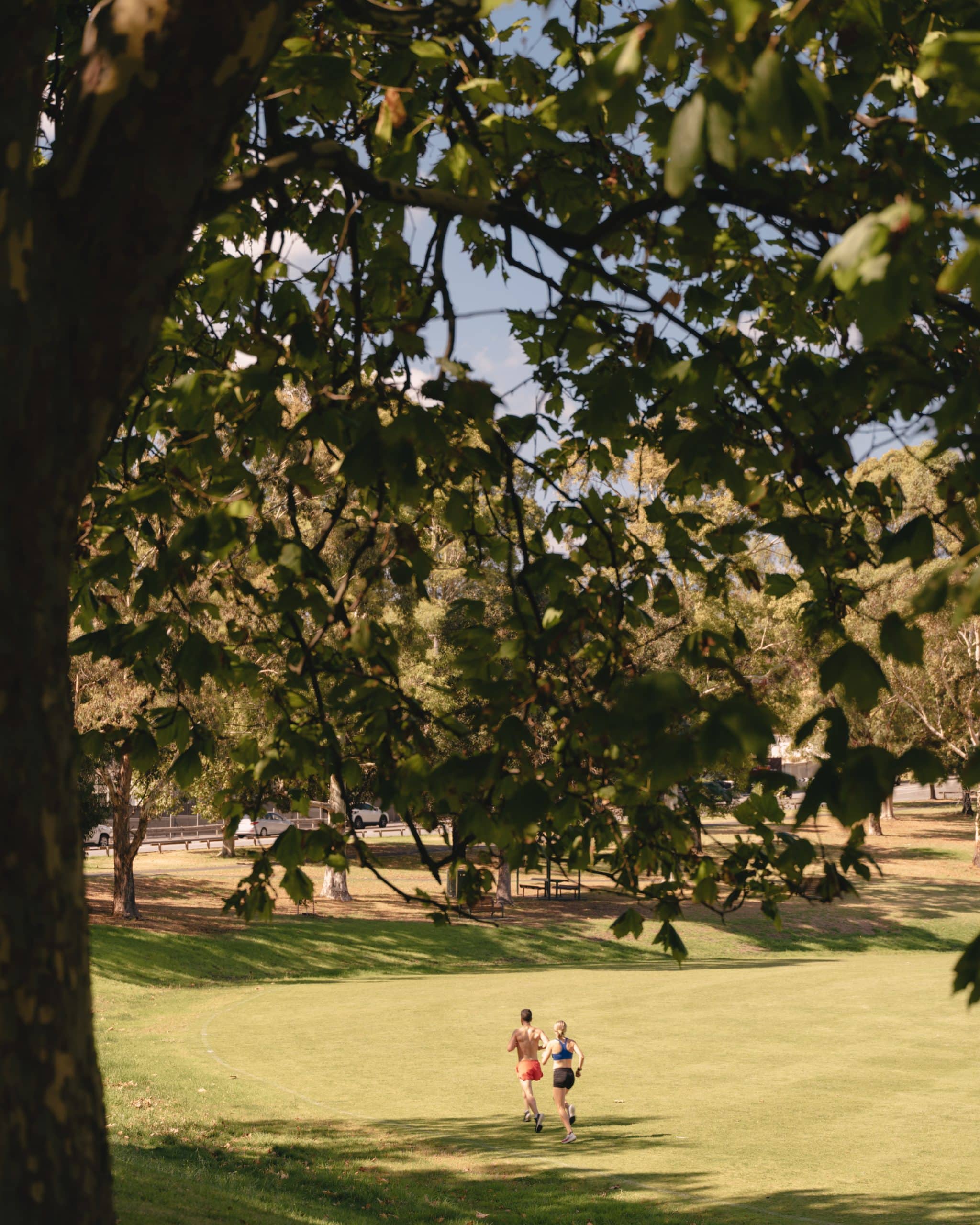 Como, Toorak - Prime Edition