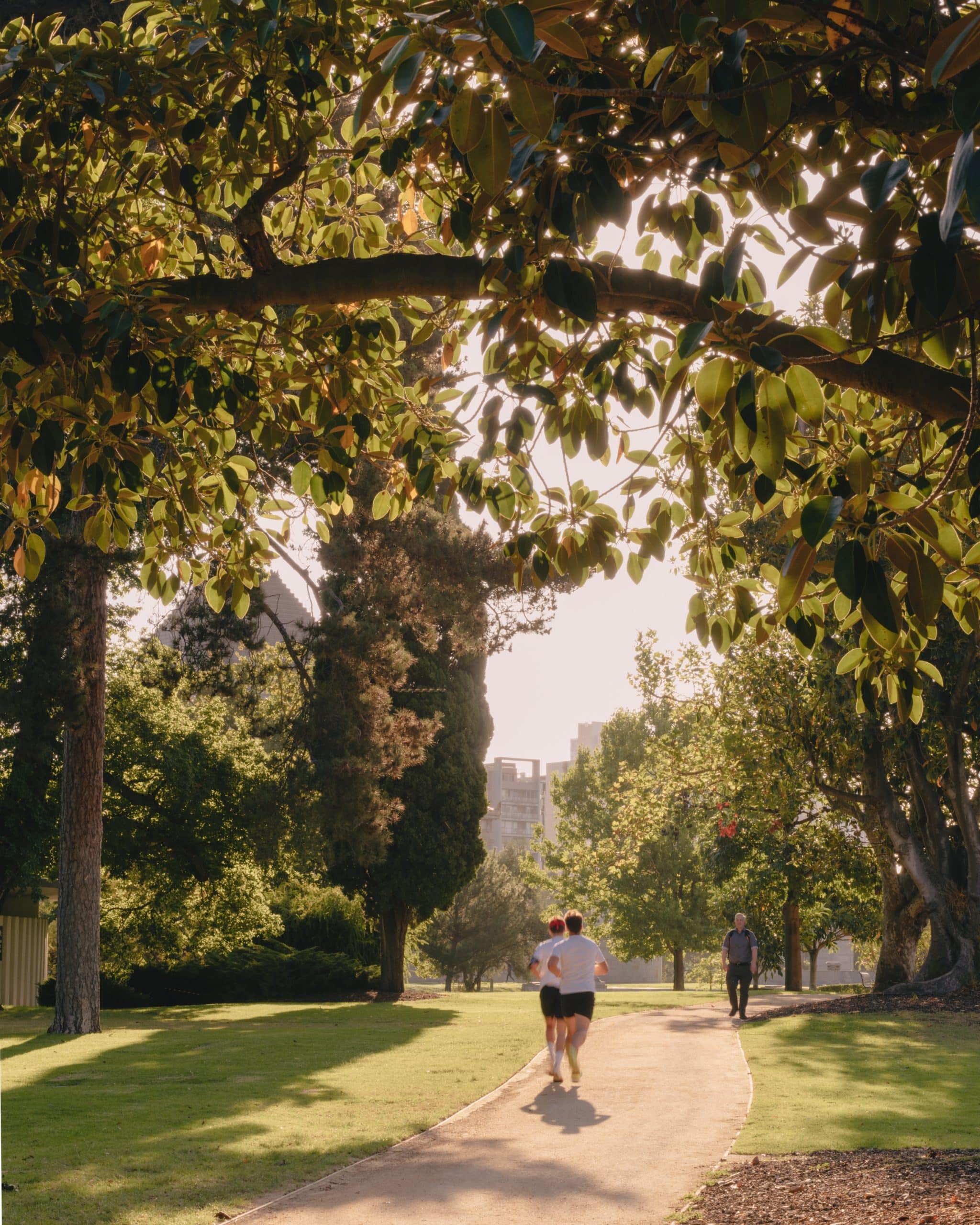 Como, Toorak - Prime Edition